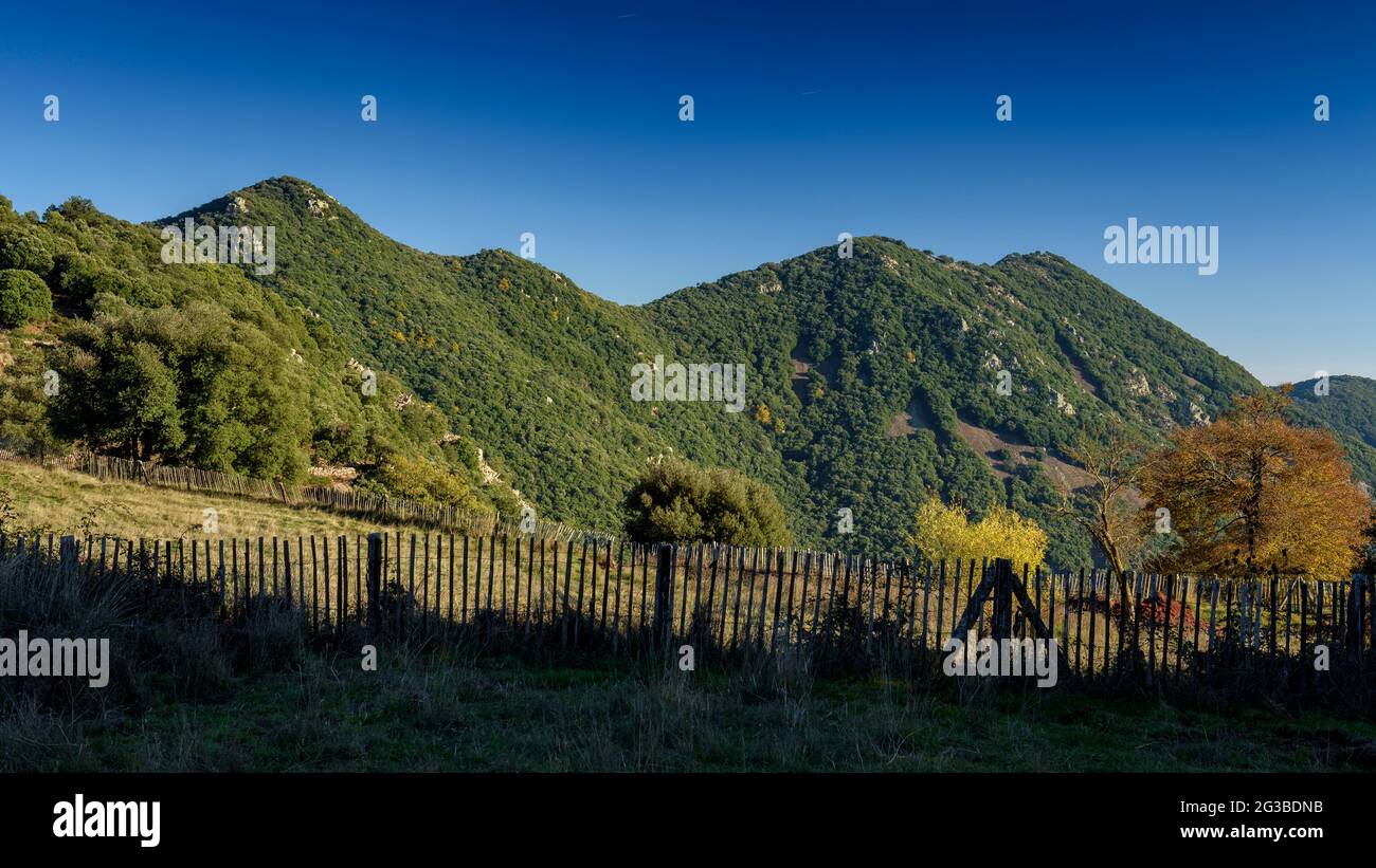 Roca centella hi-res stock photography and images - Alamy