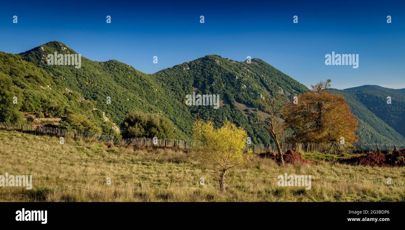 Centella park hi-res stock photography and images - Alamy