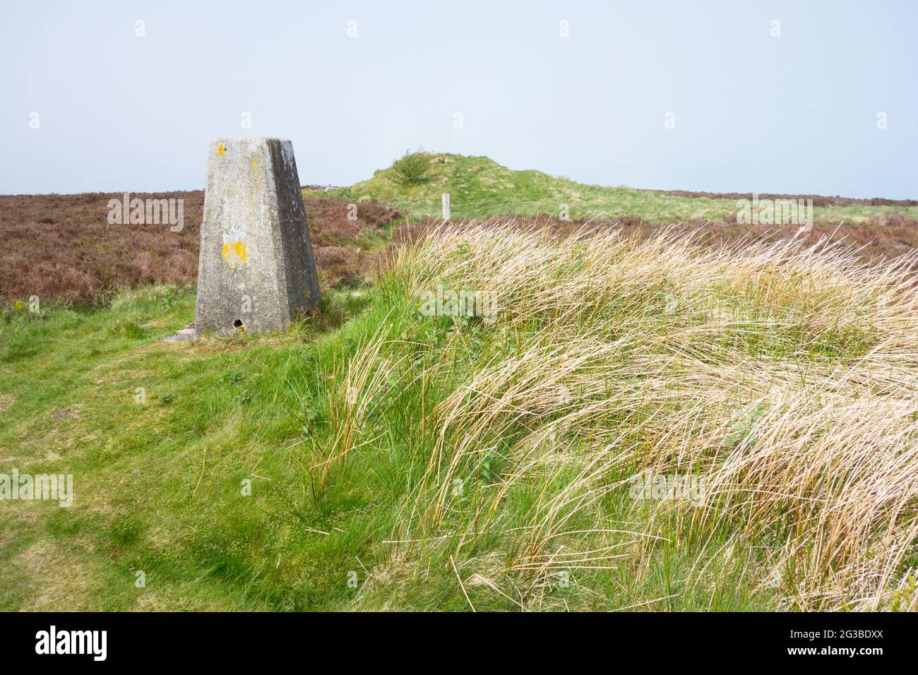The remains of Sir Watkins Tower in Llandegla Llangollen Wales UK Stock ...