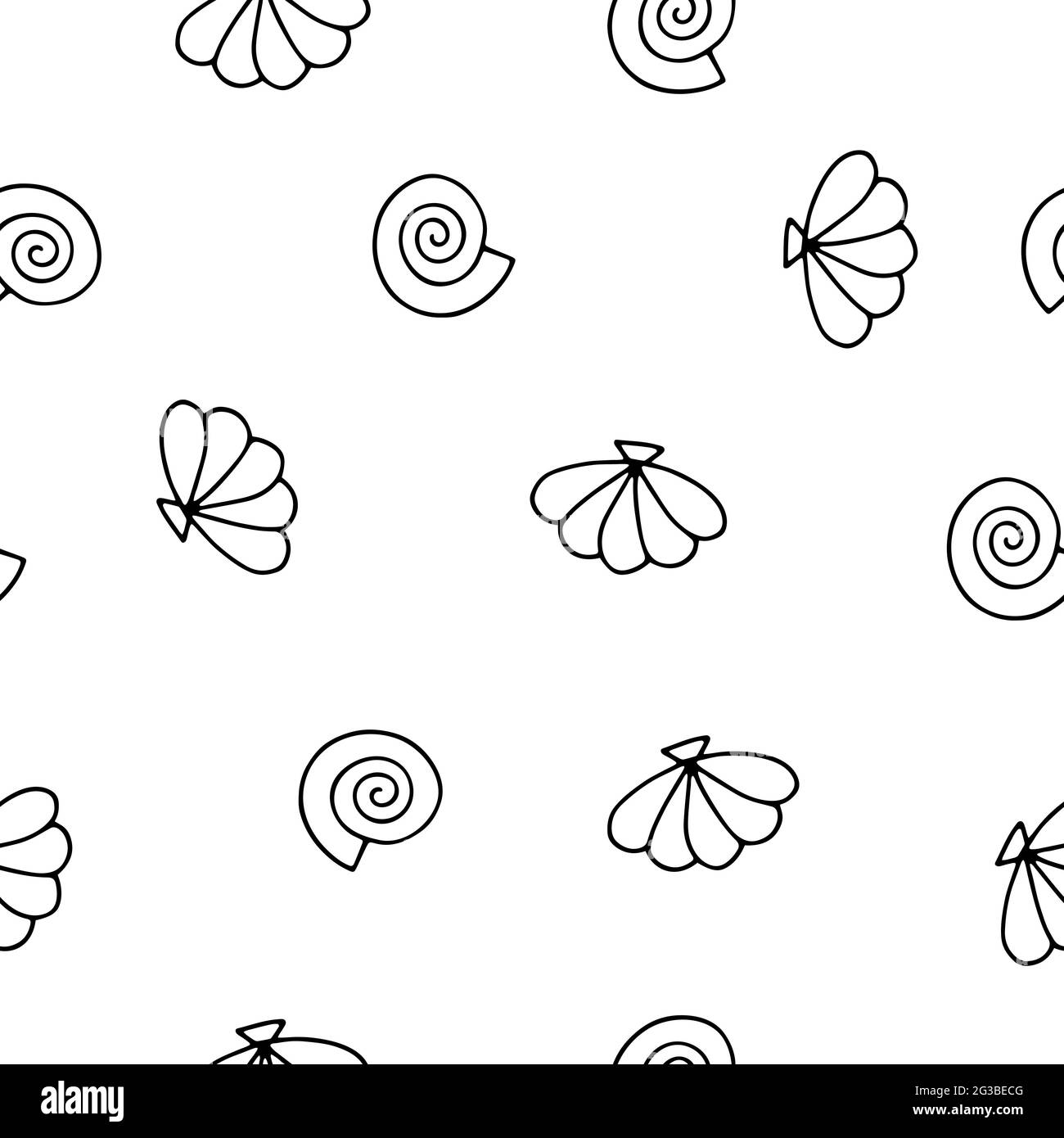 Mollusks sea shells mollusks Black and White Stock Photos & Images - Alamy