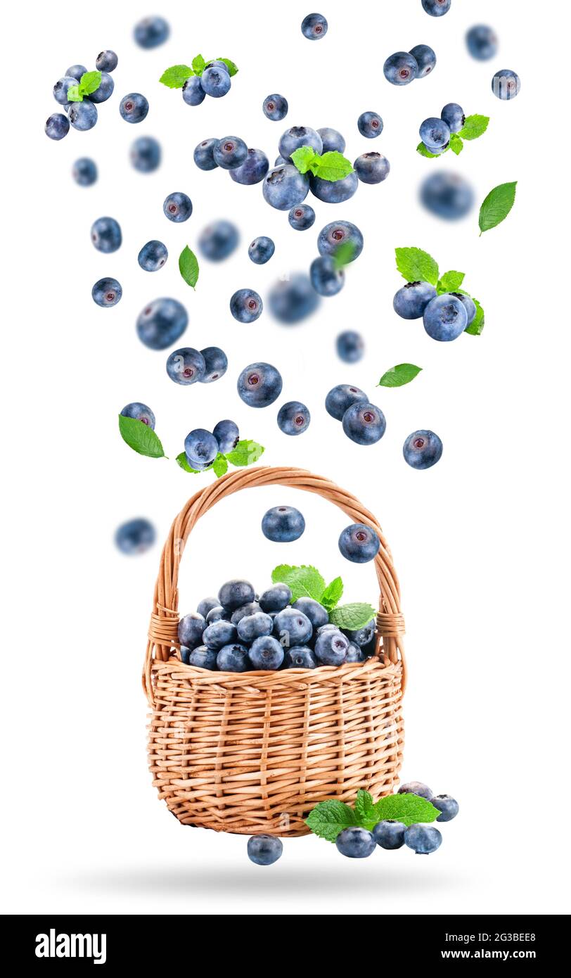 Levitation plant Cut Out Stock Images & Pictures - Alamy