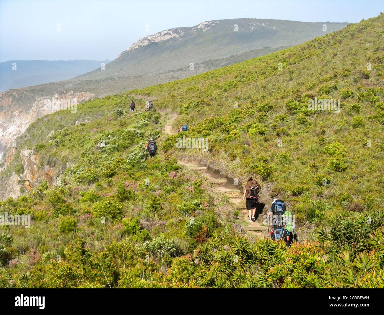 Fynbos ecosystem in south africa hi-res stock photography and images ...