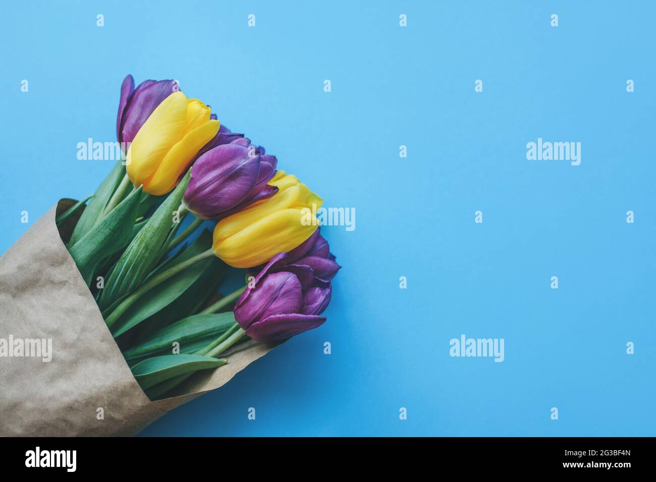 Beautiful yellow and purple spring tulips on light blue background, top ...