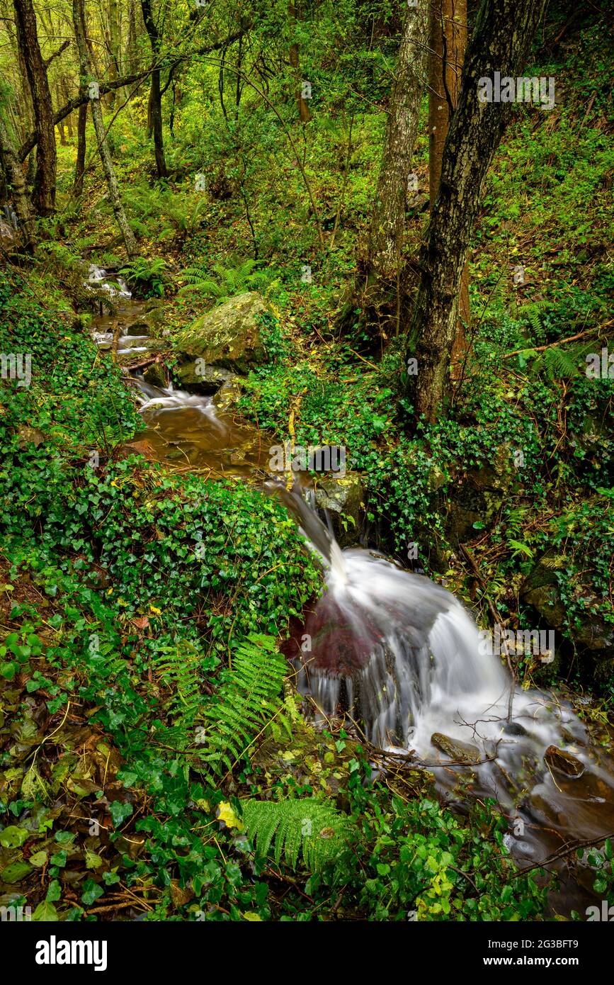 Planta de parque hi-res stock photography and images - Alamy