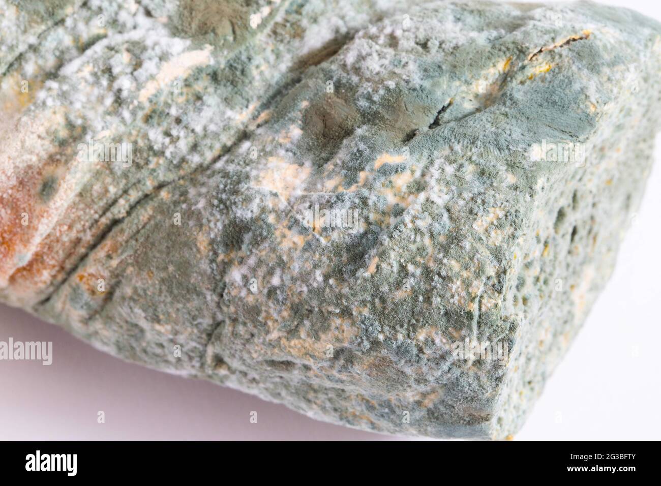Green moldy bread on a white background, isolate. Loaf with mold, macro ...