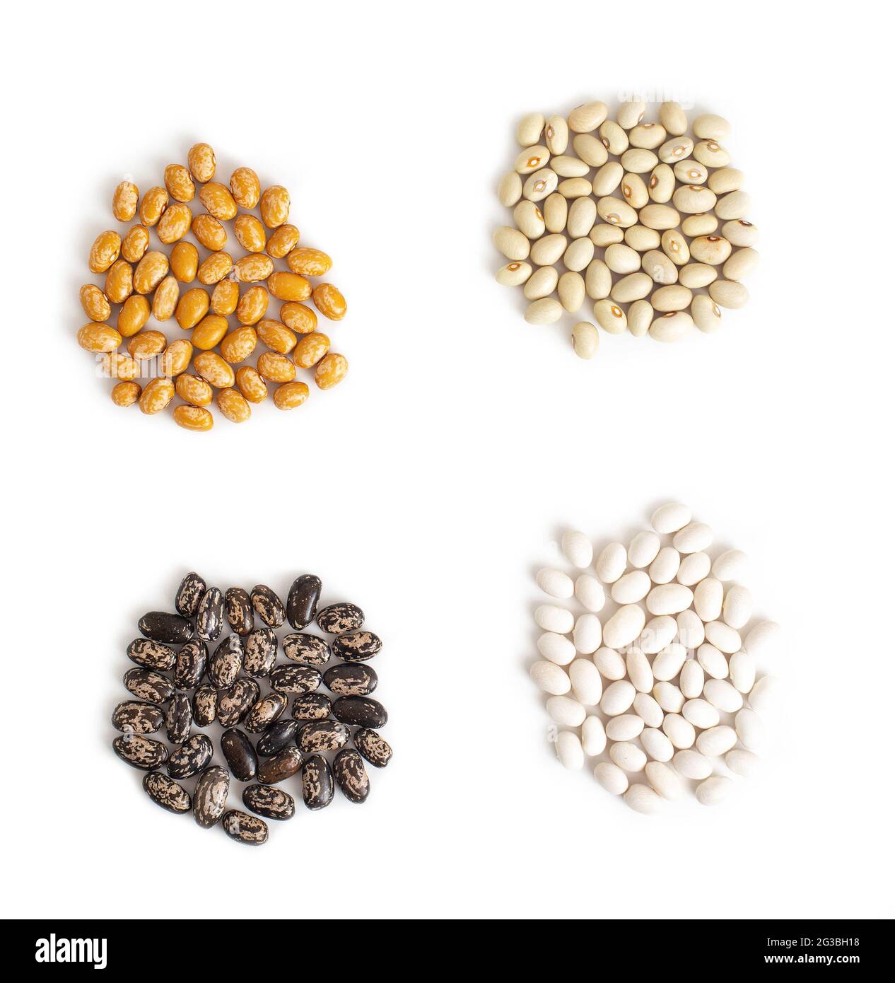 Different varieties of beans and colors on a white background. Black ...