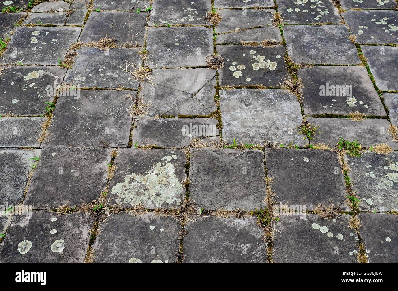 Grass between paving slabs hi-res stock photography and images - Alamy
