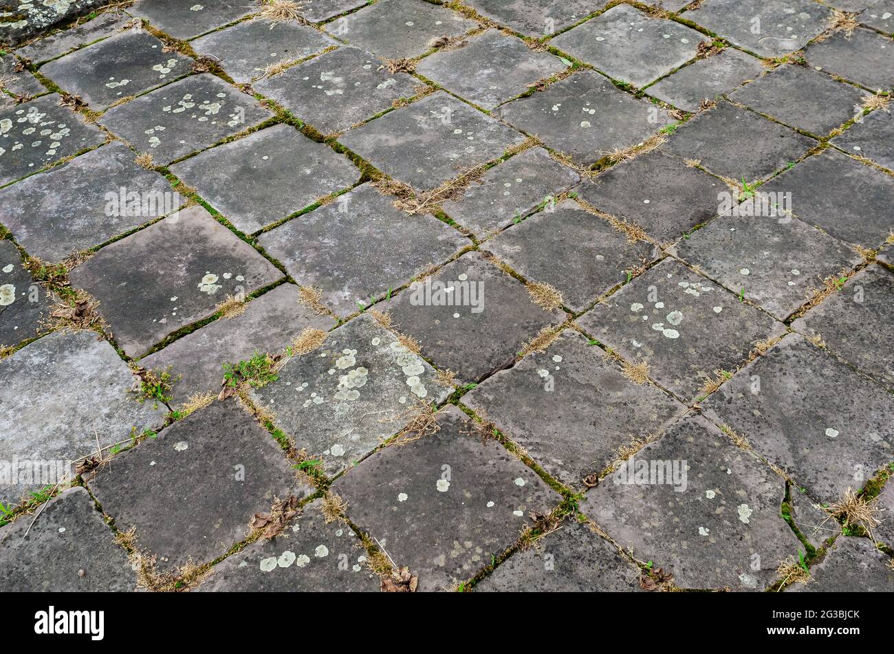 Grass between paving slabs hi-res stock photography and images - Alamy