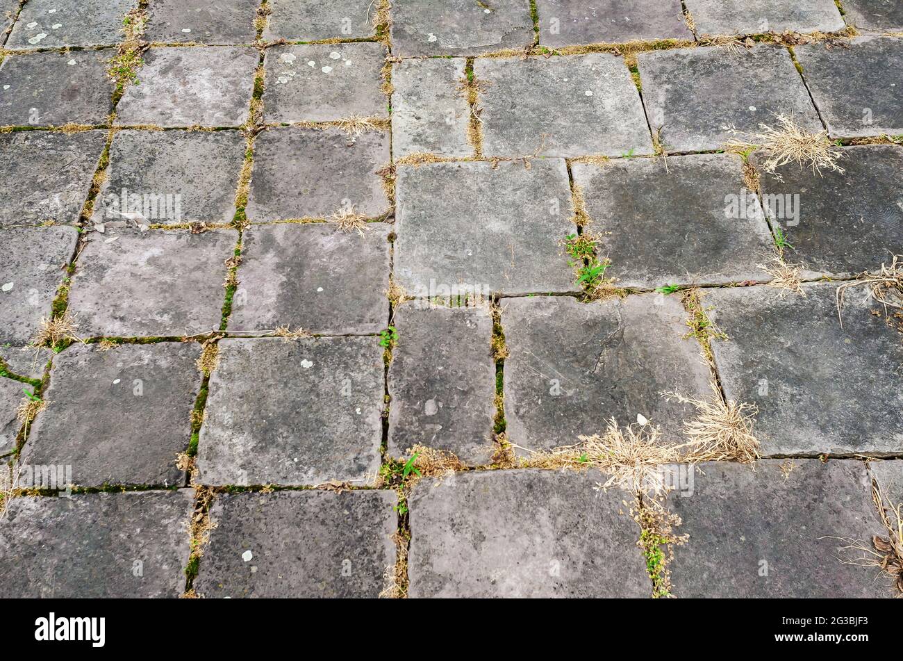 Old paving slabs hi-res stock photography and images - Alamy