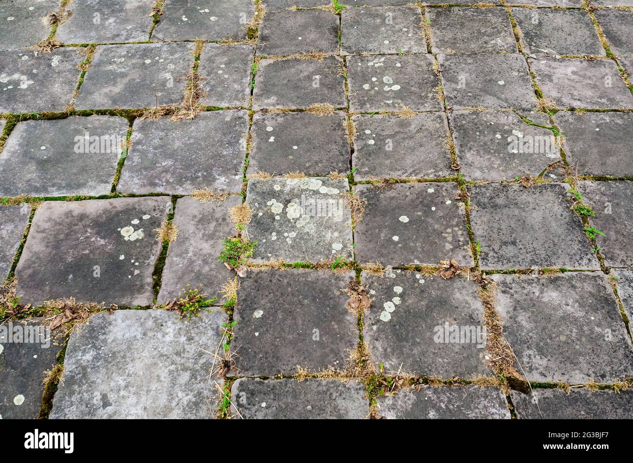 Old paving slabs hi-res stock photography and images - Alamy