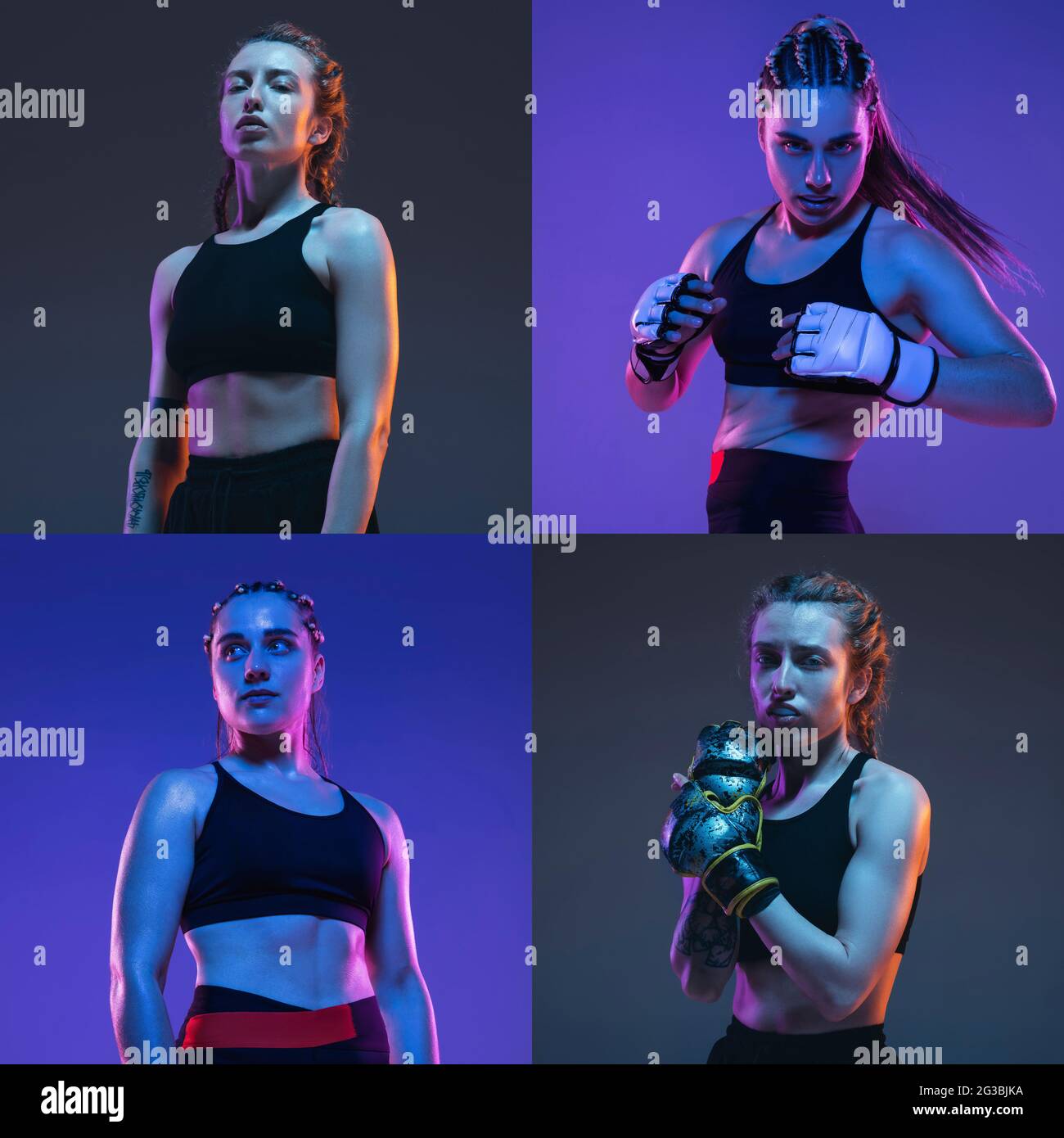 Two young female MMA fighters posing isolated over gray purple ...