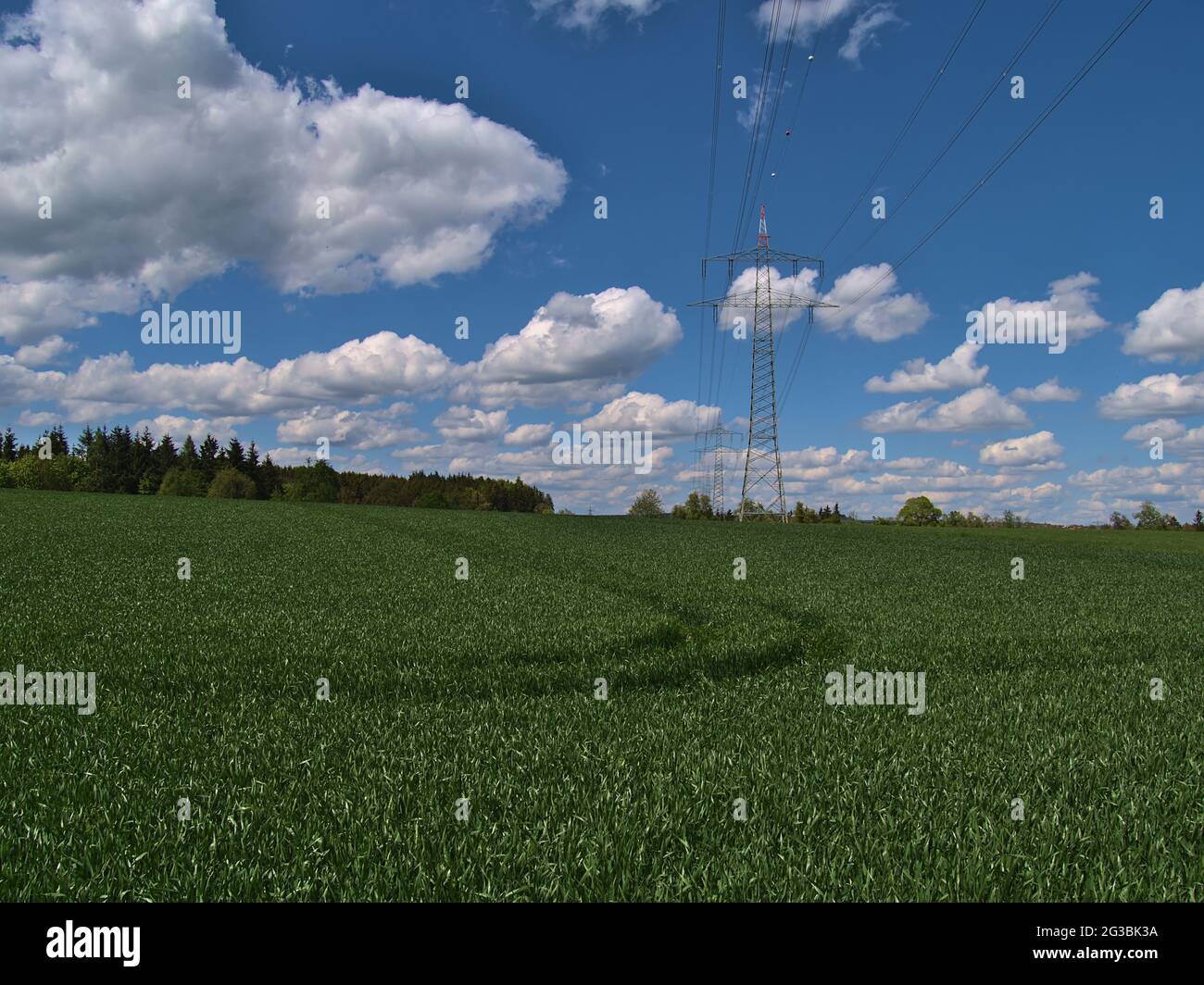 Beautiful landscape with green agricultural field with tractor tracks ...