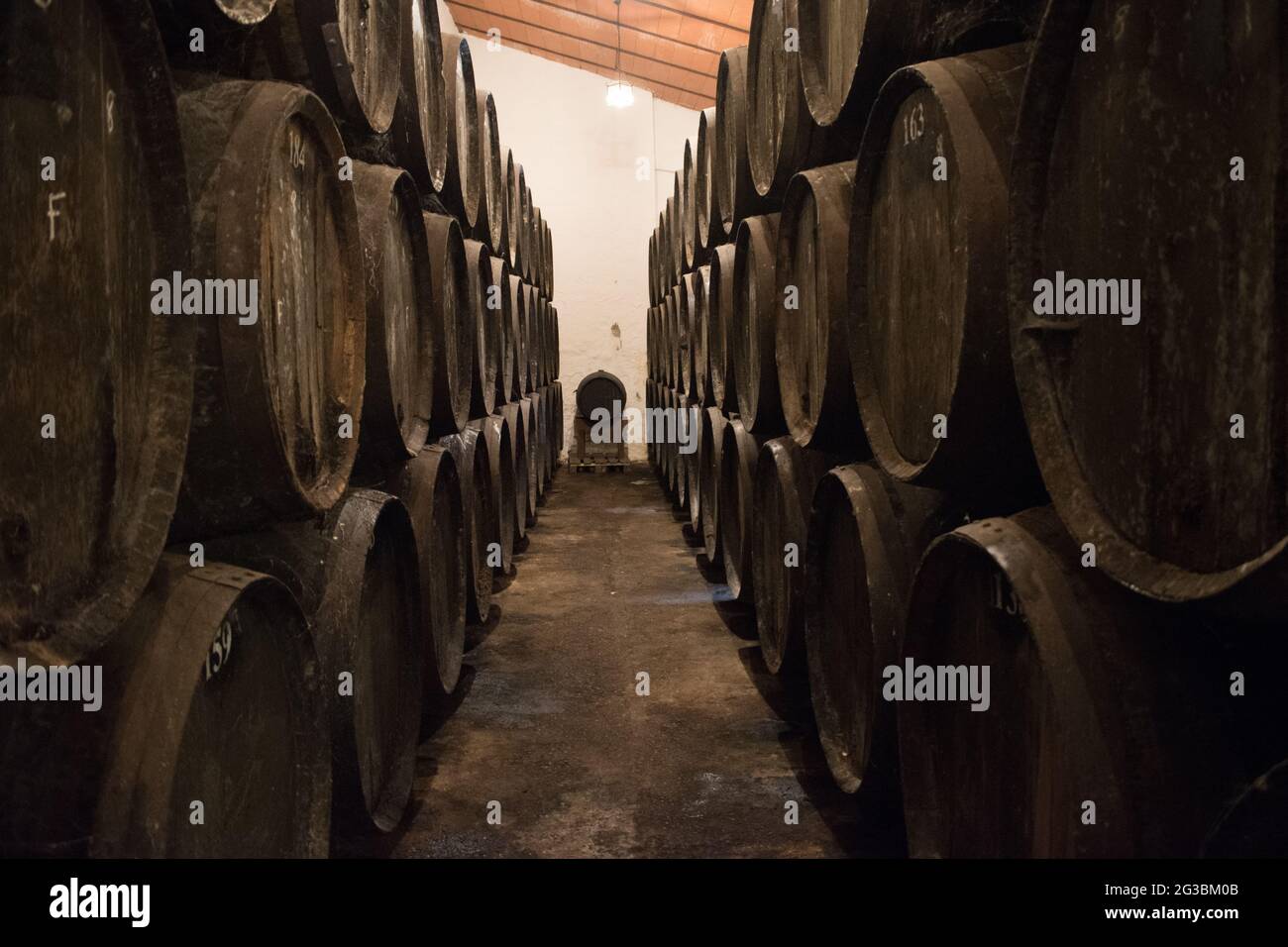 Wine casks at the winery. Stacked Wine barrels at the spanish winery ...