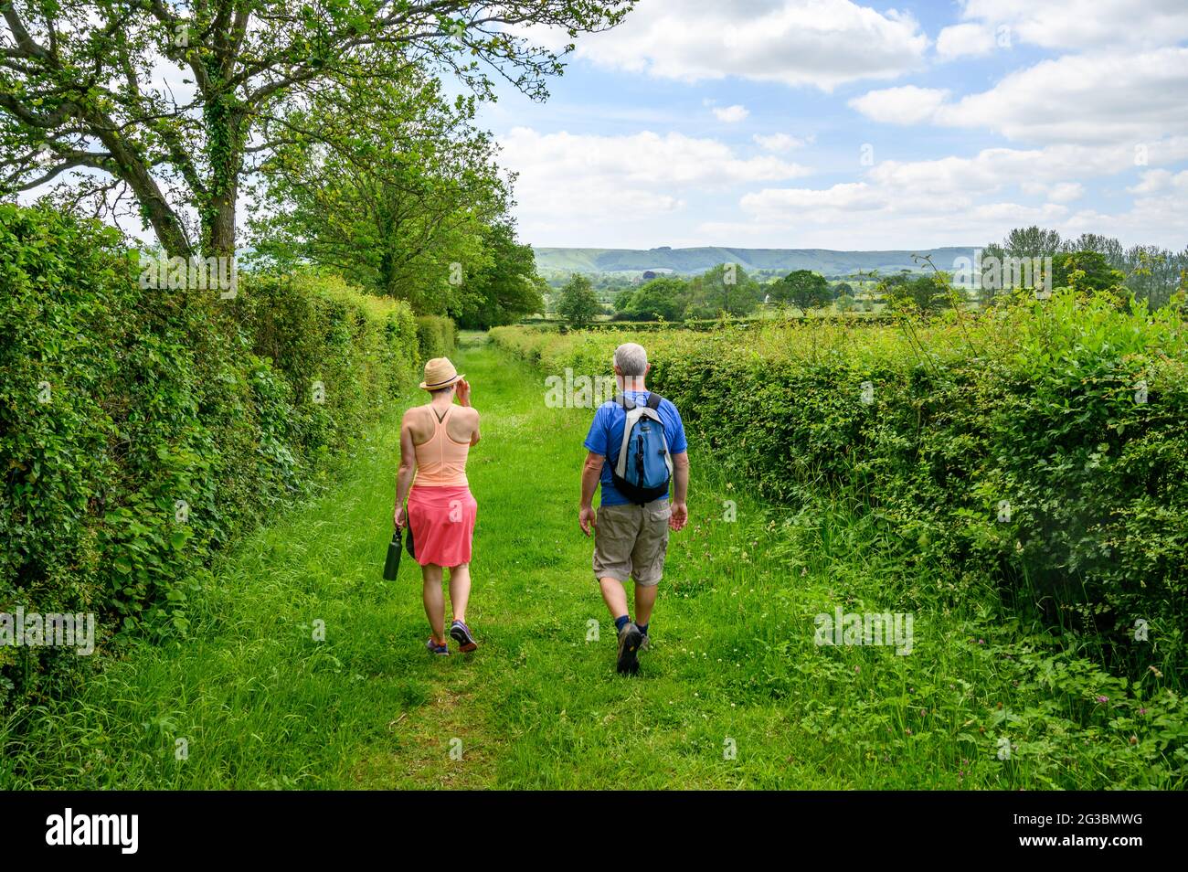 A female and a male rambler walking on a grassy public footpath between ...