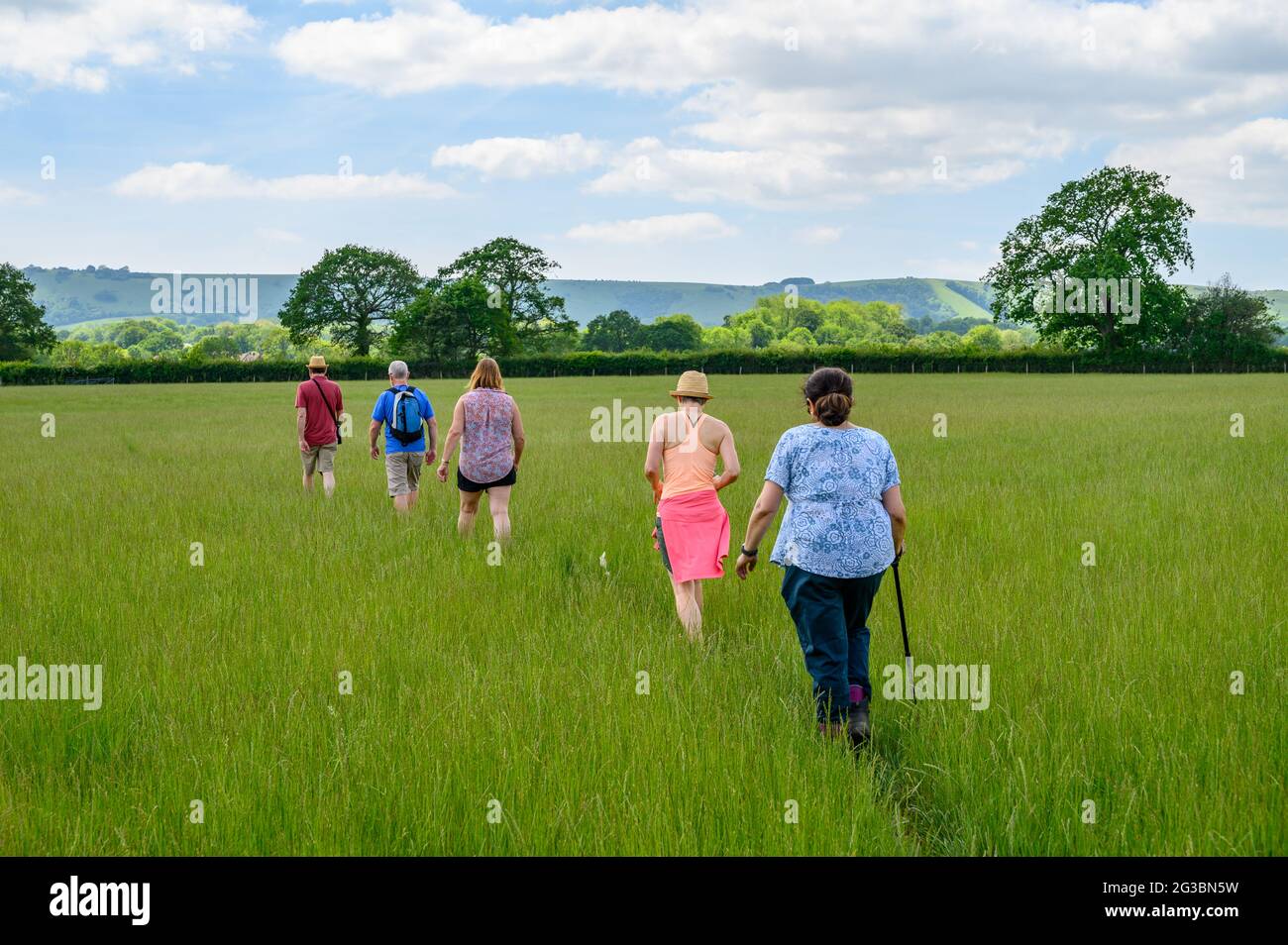 A group of ramblers walking over a field of tall grass with the South ...