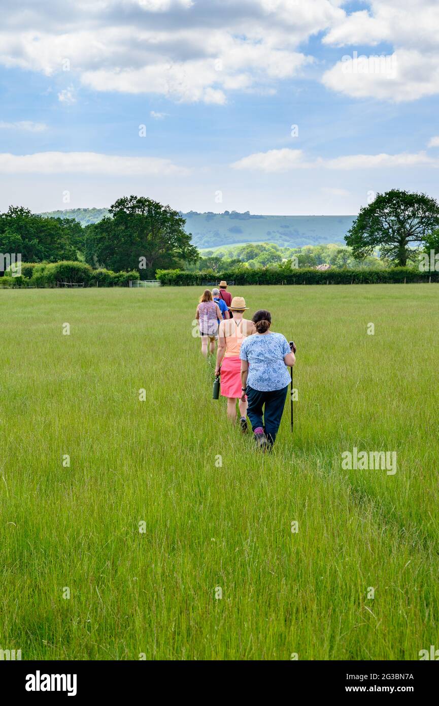 A group of ramblers walking over a field of tall grass with the South ...