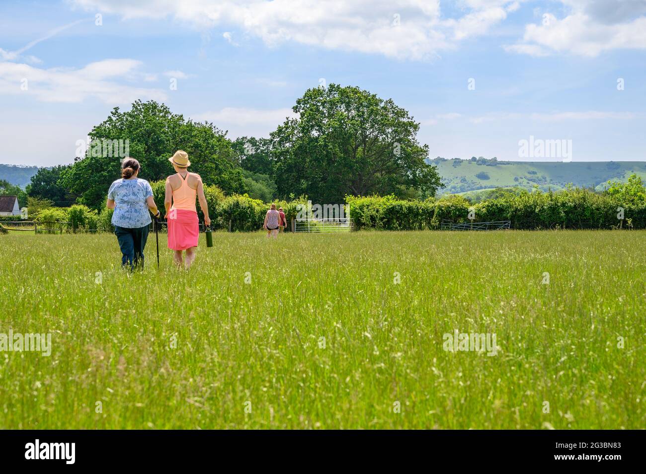 A group of ramblers walking over a field of tall grass with the South ...