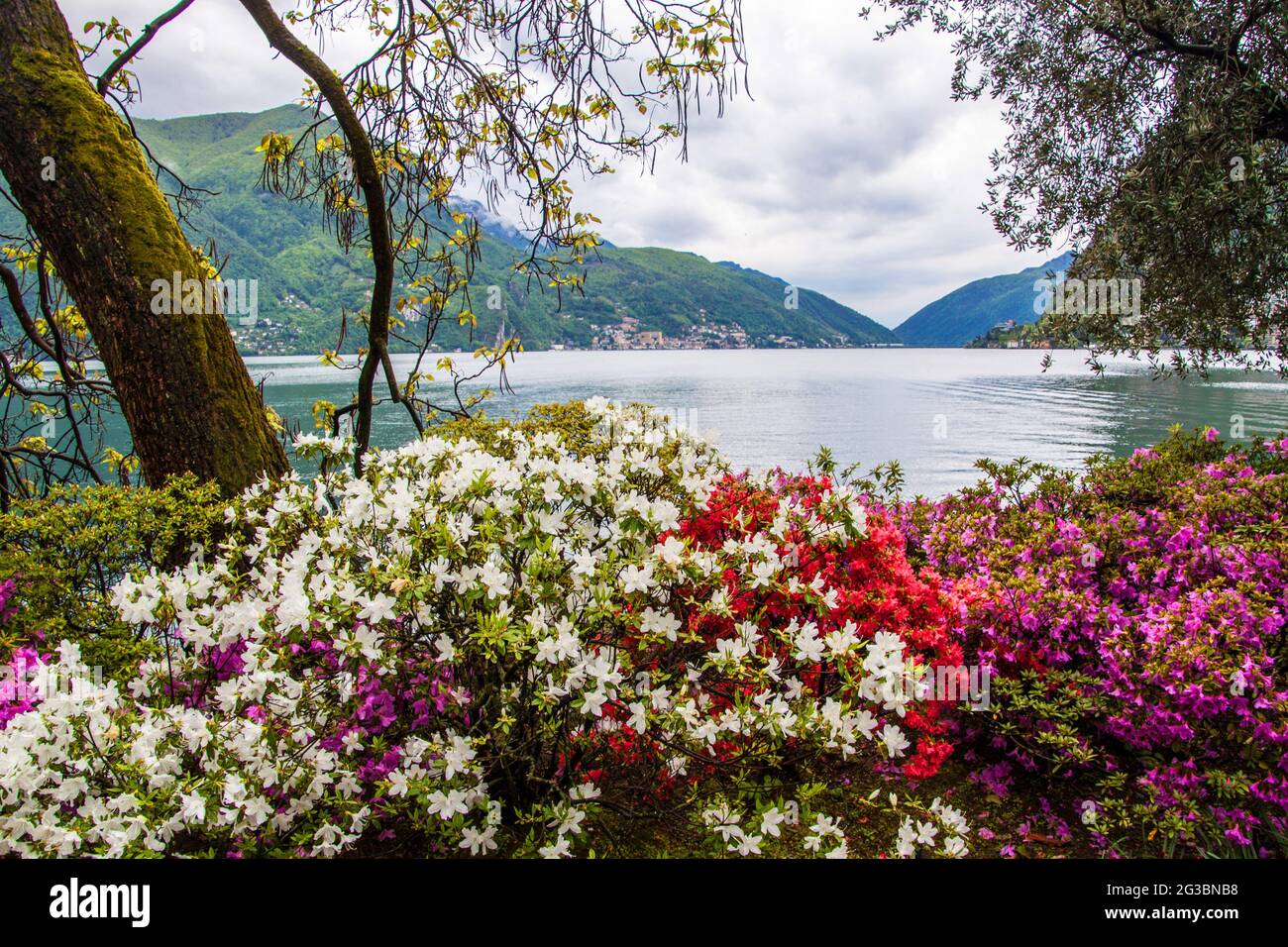 Parco civico ciani hi-res stock photography and images - Alamy