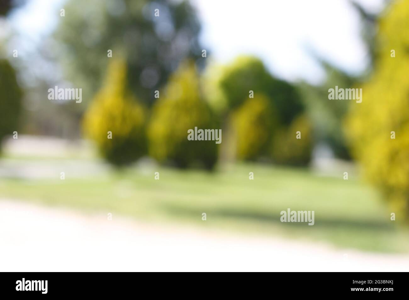 Fuzzy nature landscape, blurry nature photo for background Stock Photo ...