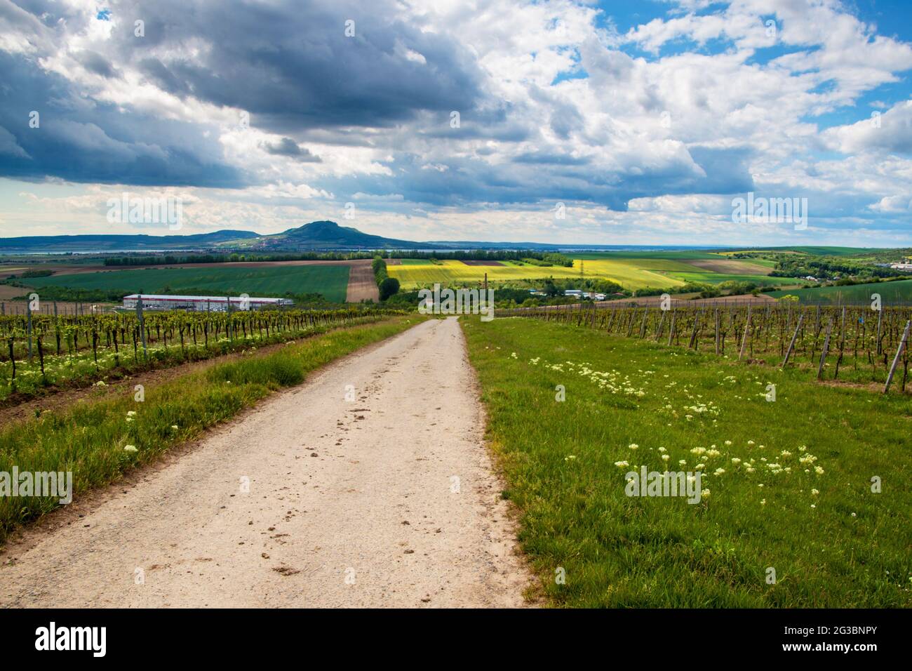 Countryside of southern Moravia, with vineyards, Czech Republic Stock ...
