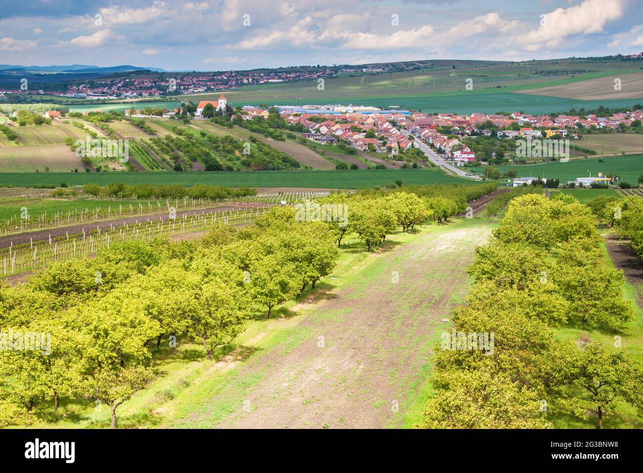 Countryside of southern Moravia, with vineyards, Czech Republic Stock ...