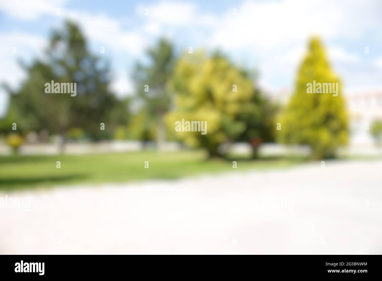 Fuzzy nature landscape, blurry nature photo for background Stock Photo ...