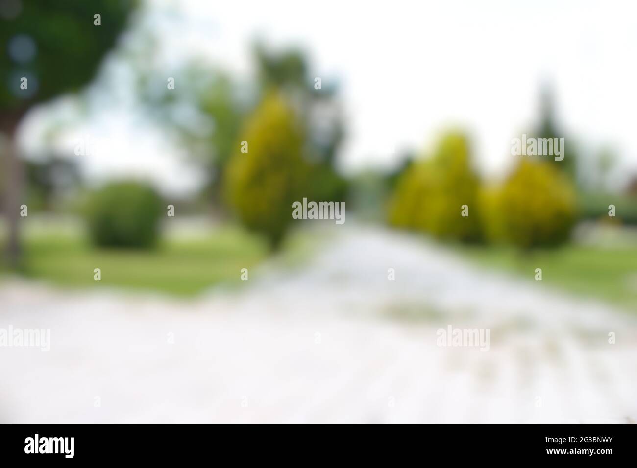 Fuzzy nature landscape, blurry nature photo for background Stock Photo ...