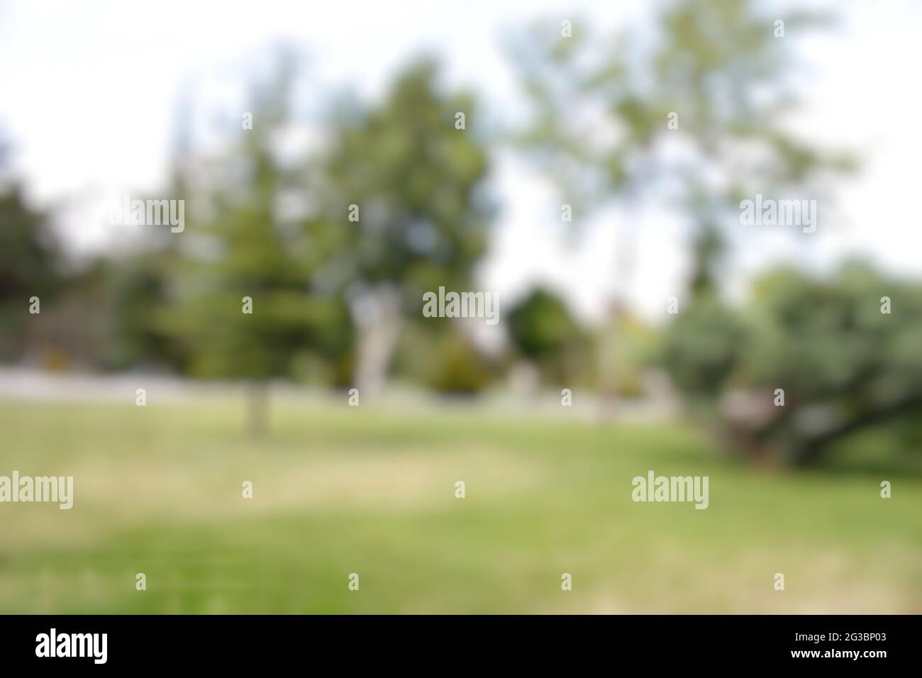 Fuzzy nature landscape, blurry nature photo for background Stock Photo ...