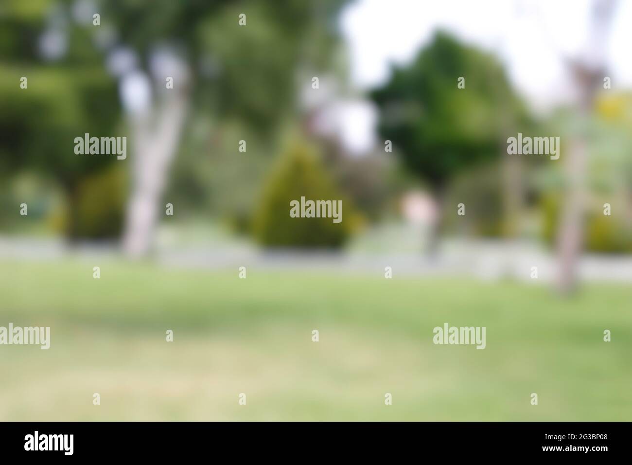 Fuzzy nature landscape, blurry nature photo for background Stock Photo ...