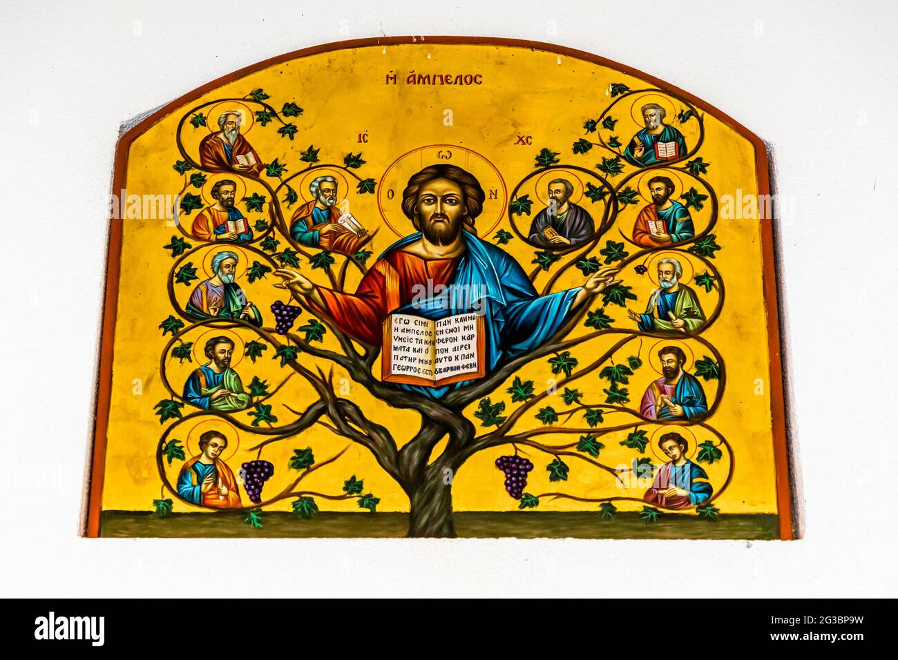 Jesus called his disciples the branches of the Lord's vine. Fresco in ...