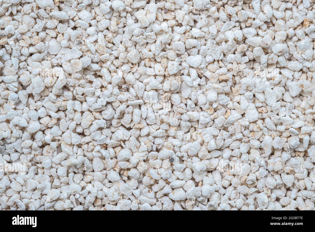 Close up of Perlite, Potting Cactus, Succulent, Hydroponics Vegetable ...