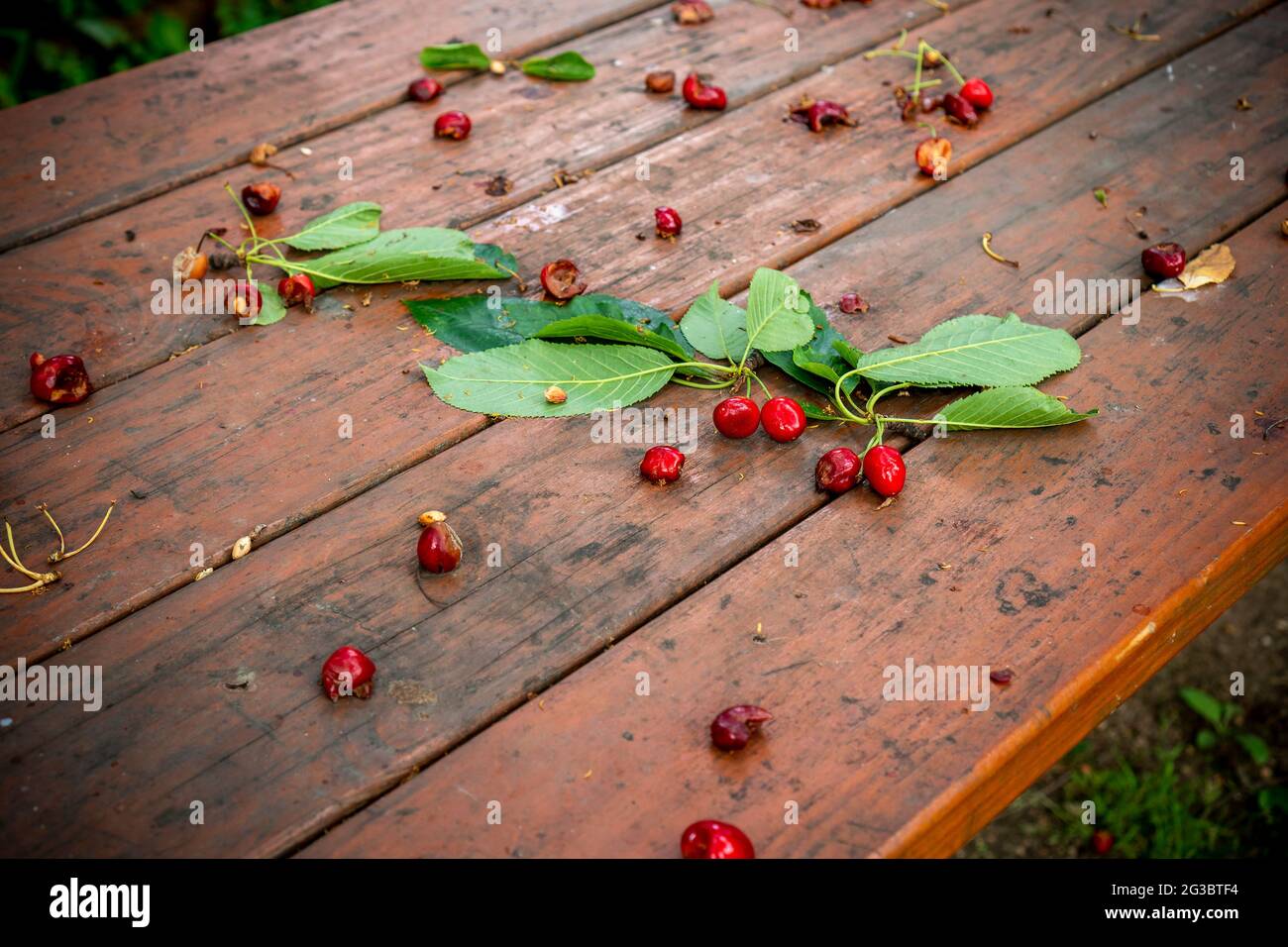 Food rot usa hi-res stock photography and images - Alamy