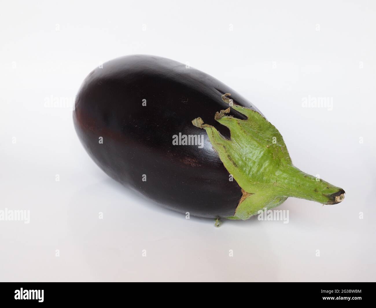 aubergine (scientific name Solanum melongena aka egg plant or melongene ...