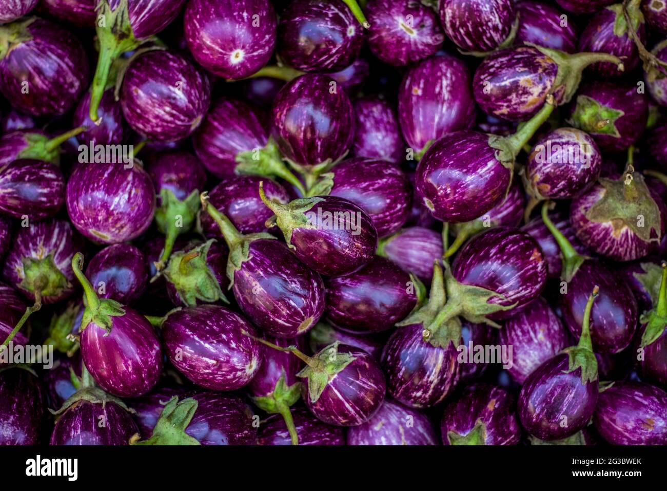 Pile of brinjals for sale at the market Stock Photo - Alamy