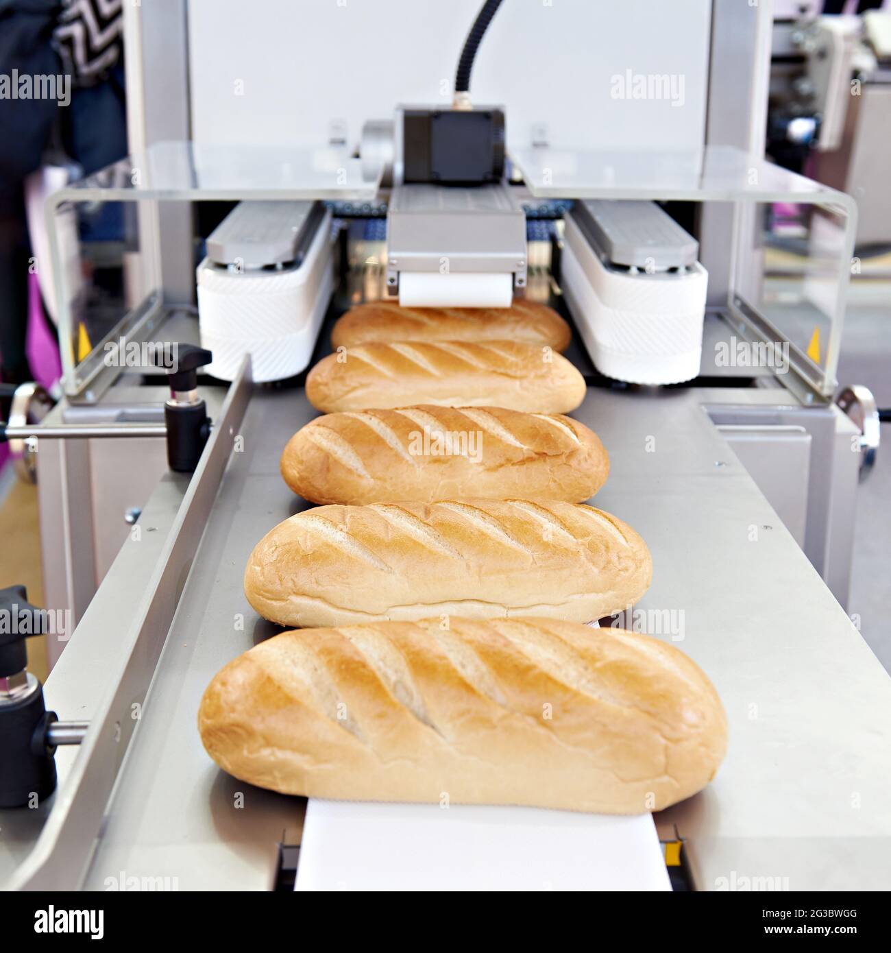 Loaves of white bread on a conveyor belt Stock Photo - Alamy