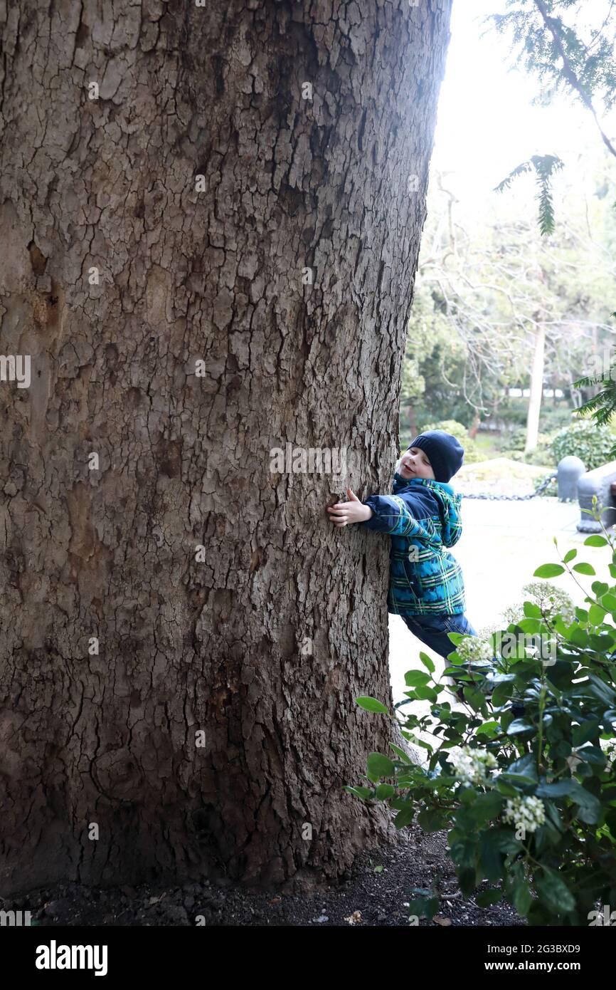 Boy hugging sycamore tree in Gurzuf park, Crimea Stock Photo - Alamy