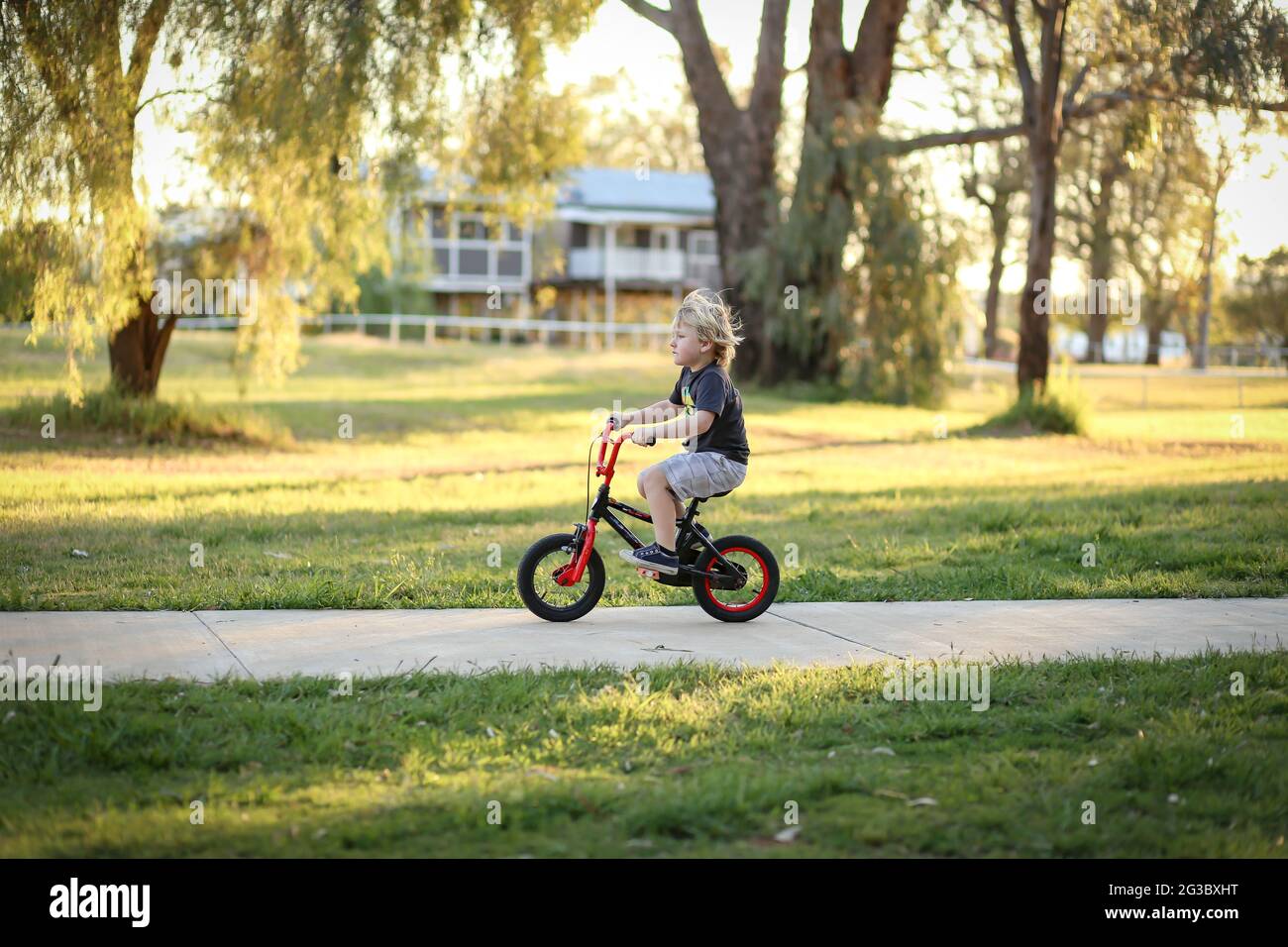 Adorable blonde australian small hi-res stock photography and images ...
