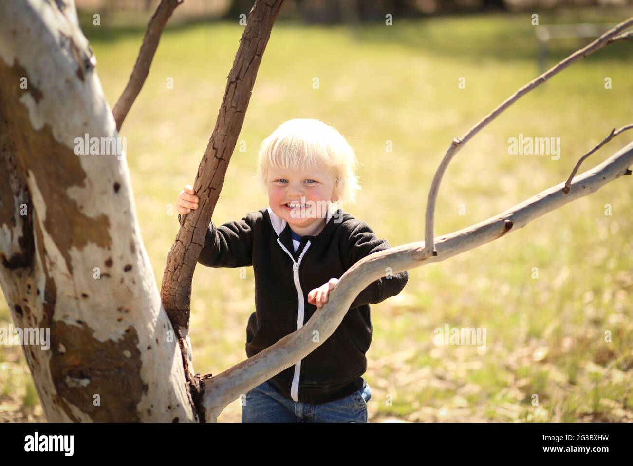 Happy adorable blonde Australian kid holding the tree branches and ...