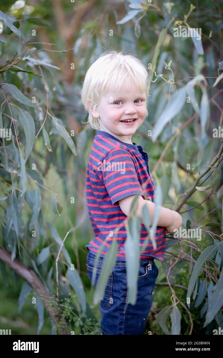 Adorable blonde Australian kid with a striped t-shirt collecting twigs ...