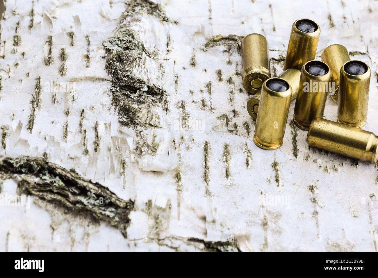 Eight cartridges for a traumatic gun on a wooden birch background Stock ...