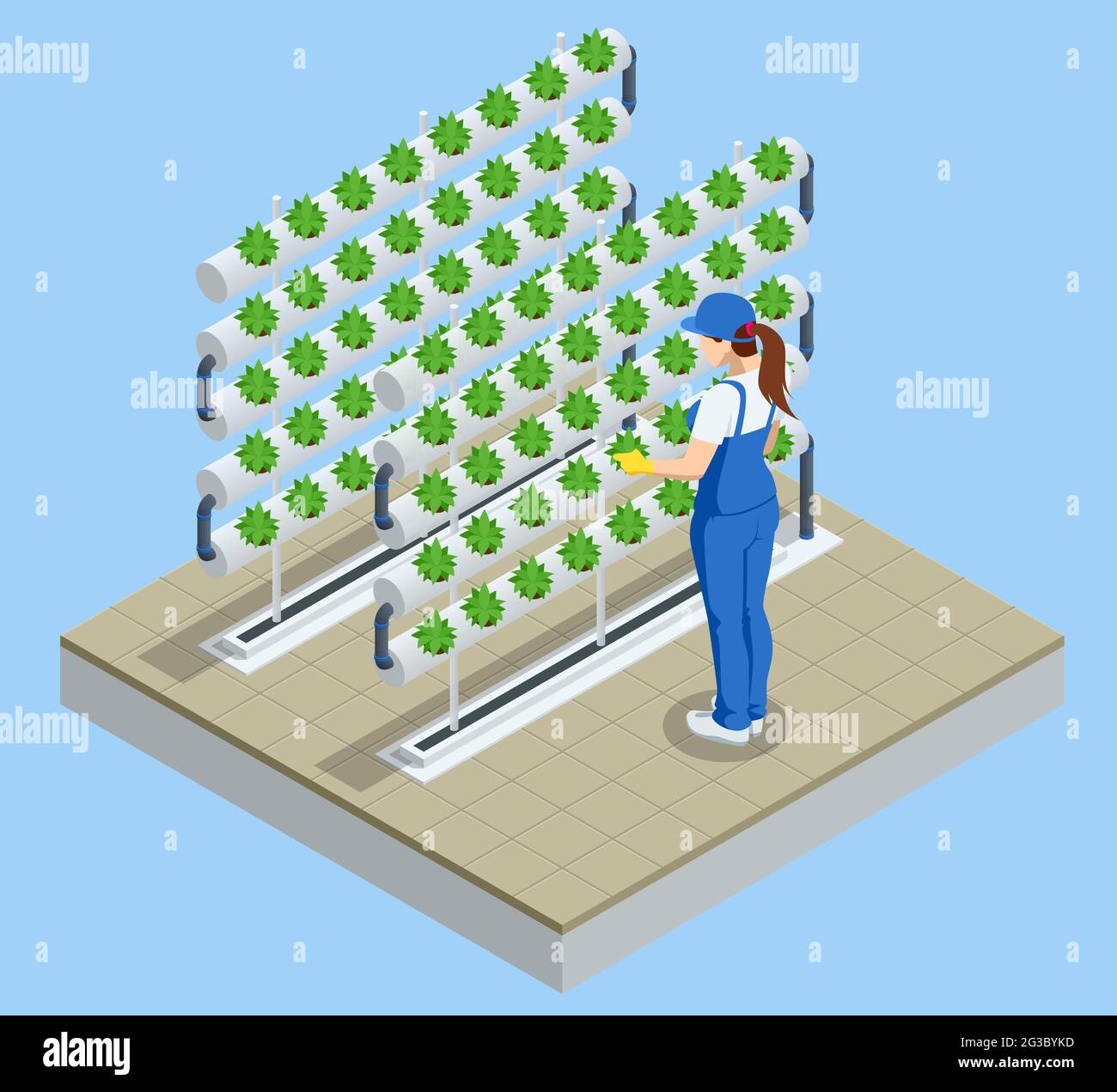 Isometric vegetable hydroponic system, modern greenhouse smart plant ...