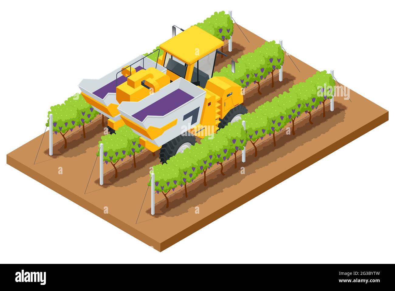 Isometric Mechanical Grape Harvester works by beating the vine with ...