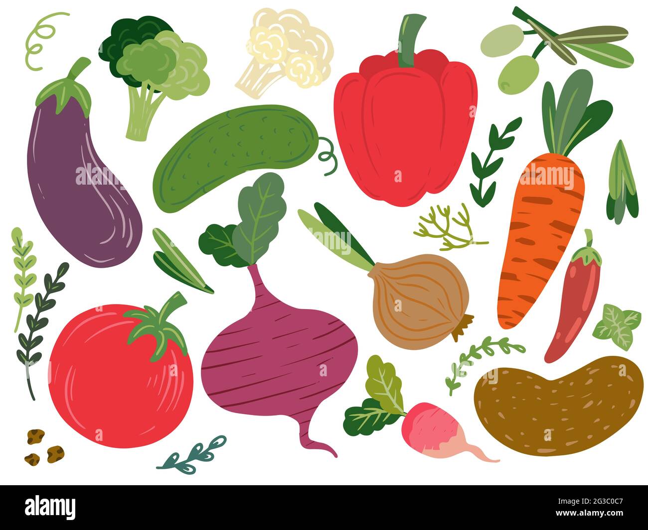 Collection hand drawn vegetables. Vector illustration Stock Vector ...