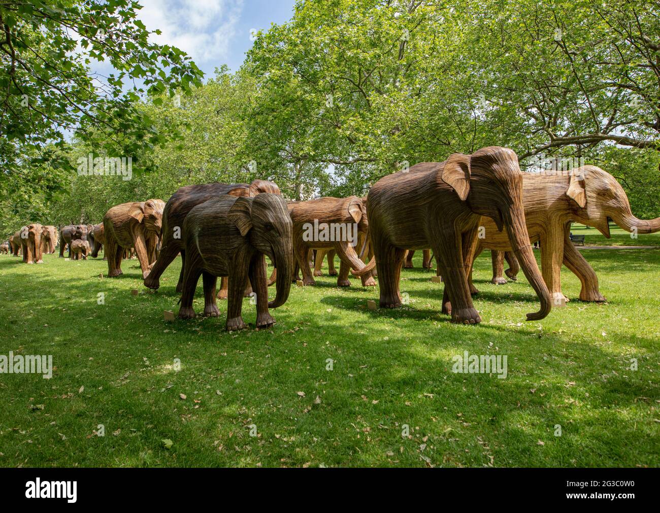 Sculptures of elephants, Green Park, London for the Co-Existence ...