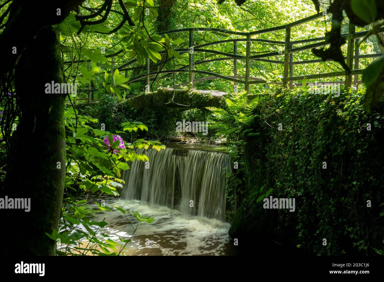 A small bridge surrrounded by thick vegetation spans a small waterfall ...