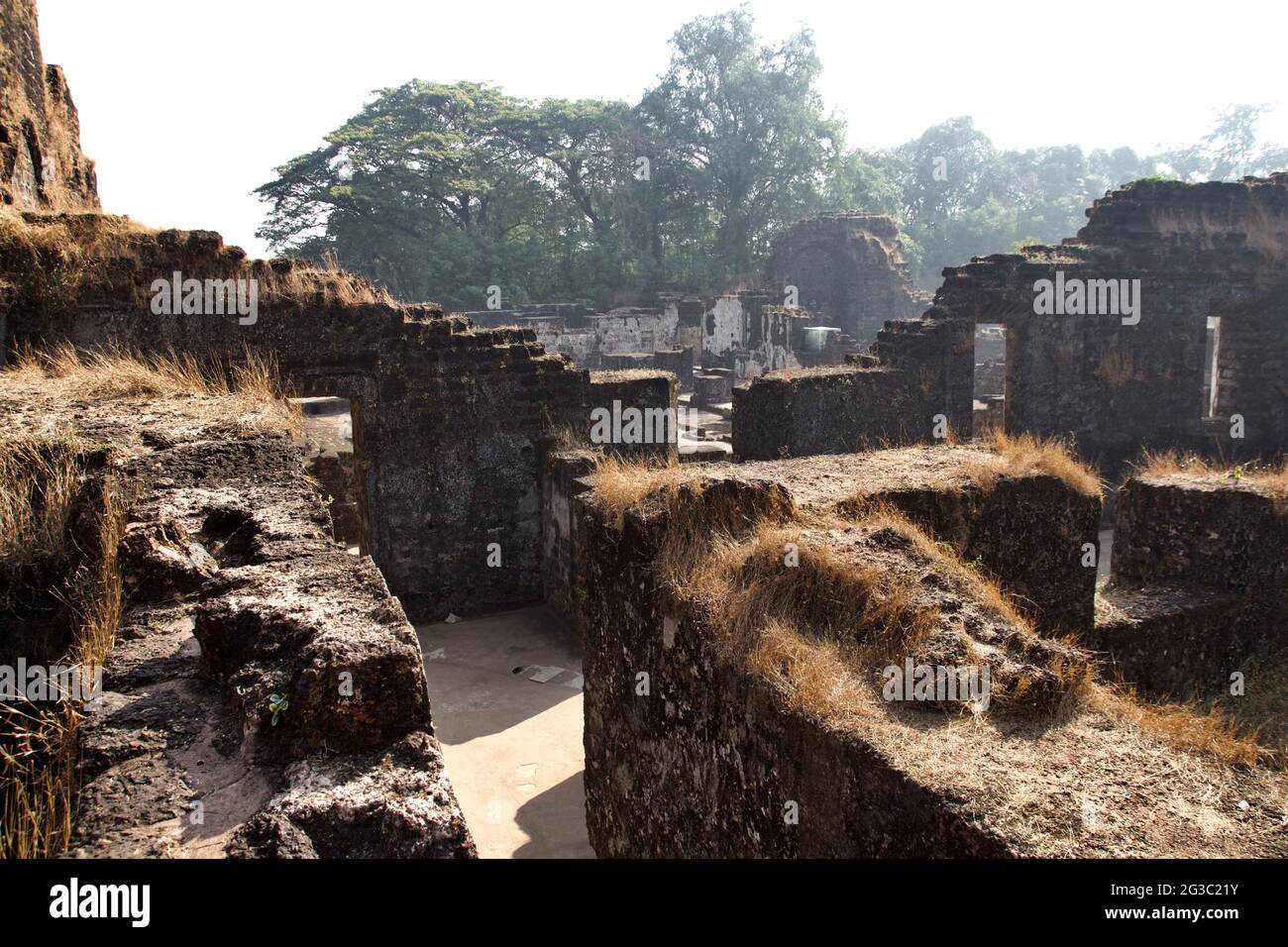 Natural view of the famous ruins of Portuguese church in Goa, India ...