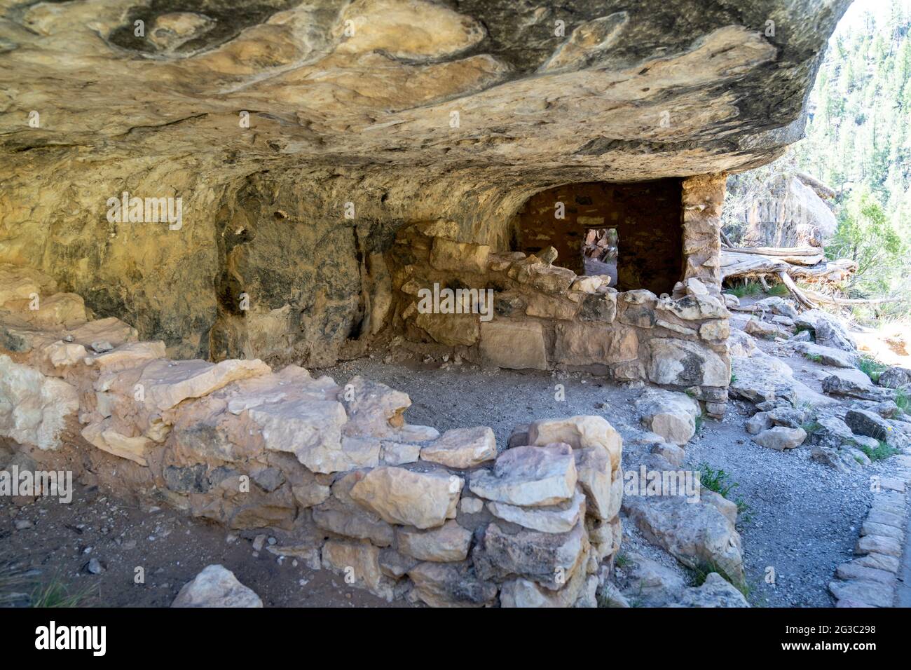 Ancient cliff dwellings along the Island Trail in Walnut Canyon ...