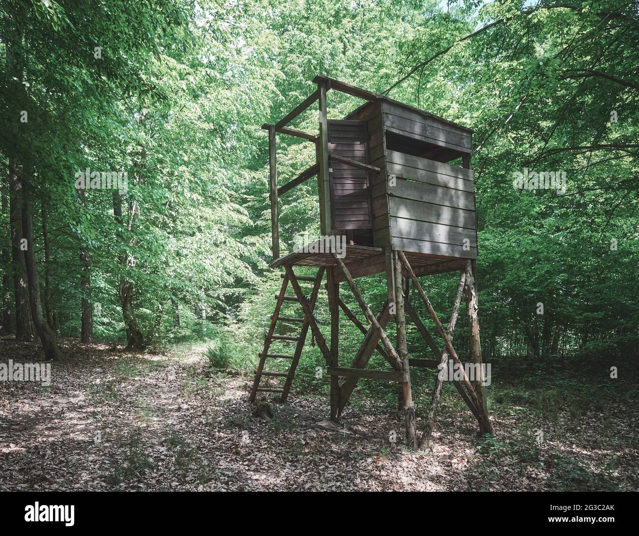 Wooden deer hunting blind in a forest, color toning applied Stock Photo ...