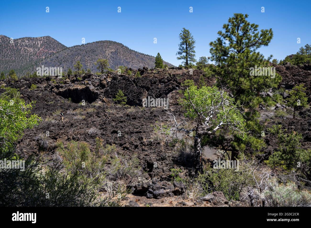 Lava flow in Sunset Crater Volcano National Monument near Flagstaff ...