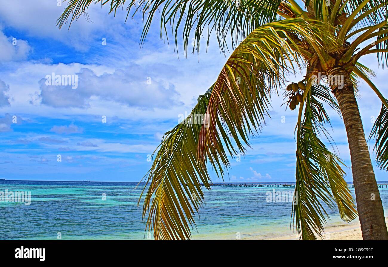 Located in Bodufinolhu, Fun Island Resort & Spa is on the beach. Local ...